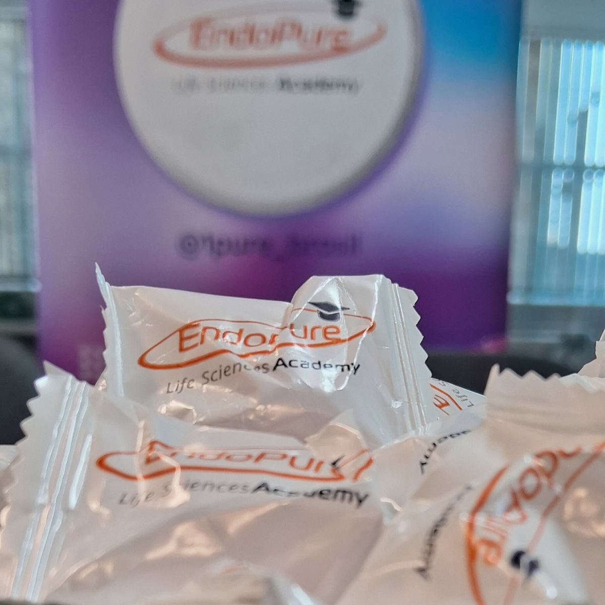 EndoPure Academy no TEArteiro 2024: workshop gratuito e mais!