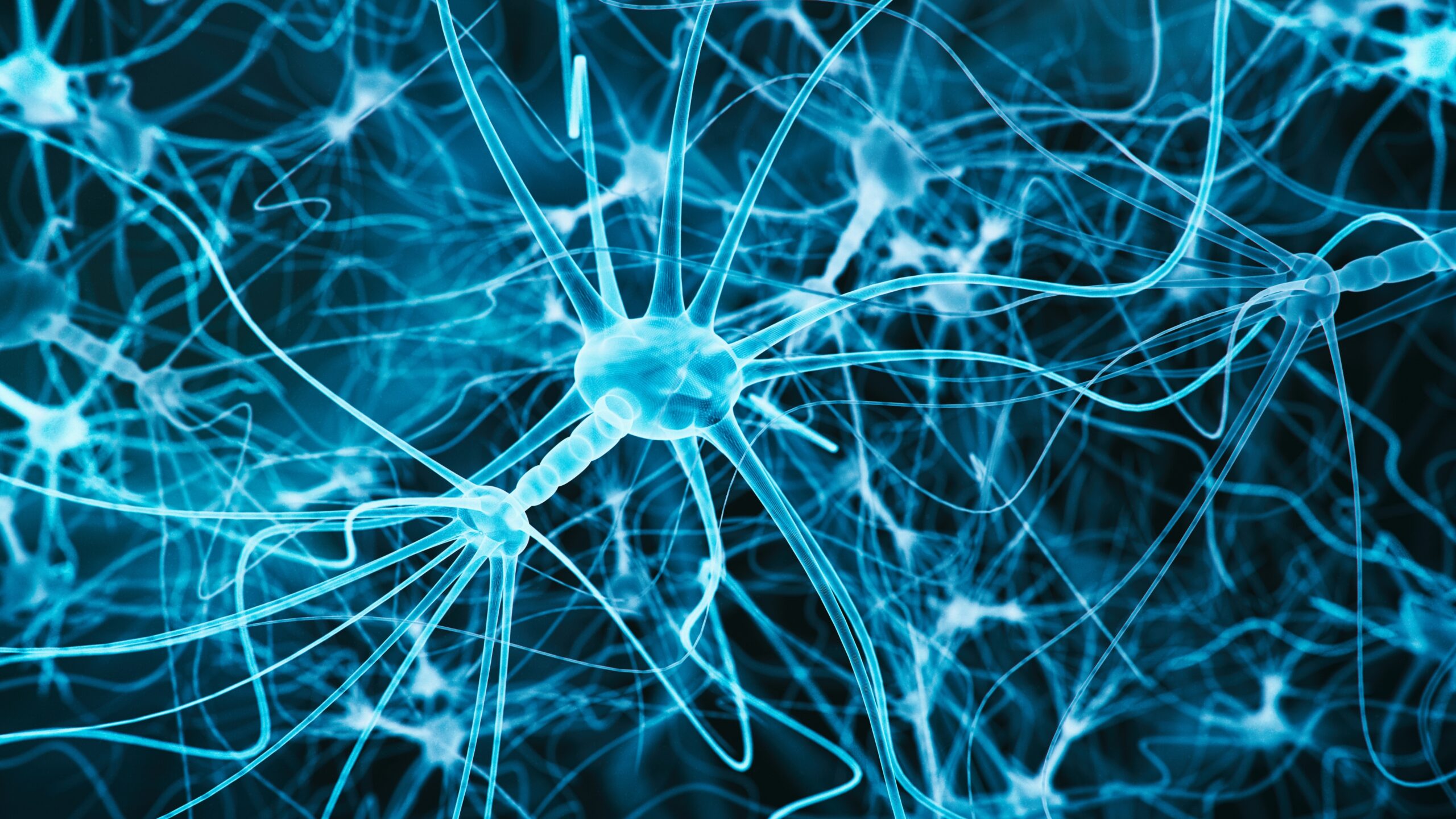 SISTEMA ENDOCANABINOIDE - EndoPure Academy