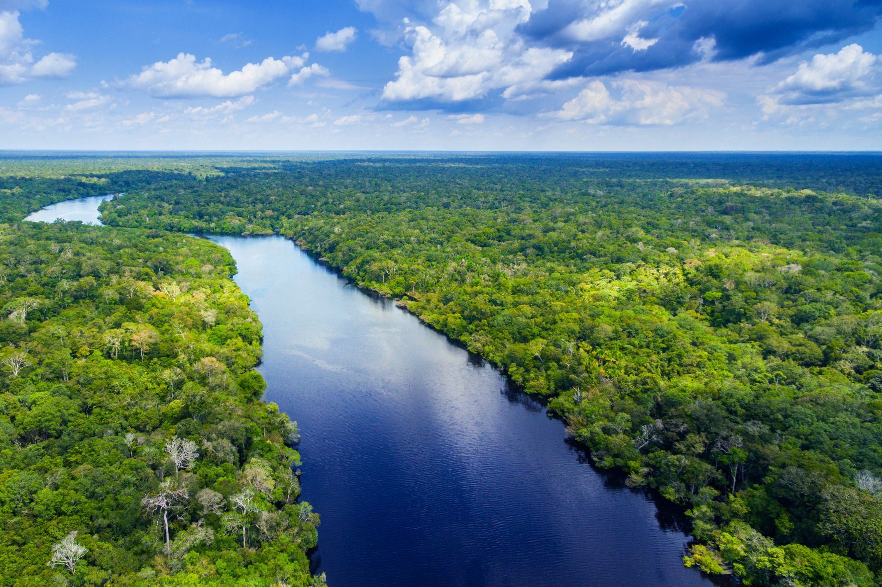 Canabinoides e sustentabilidade: como a COP 30 coloca a saúde no centro ...